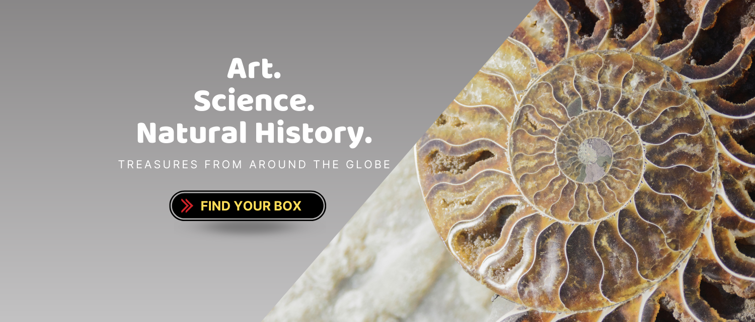 Treasures By The Box Art and Natural History Kits Wonders Of The World