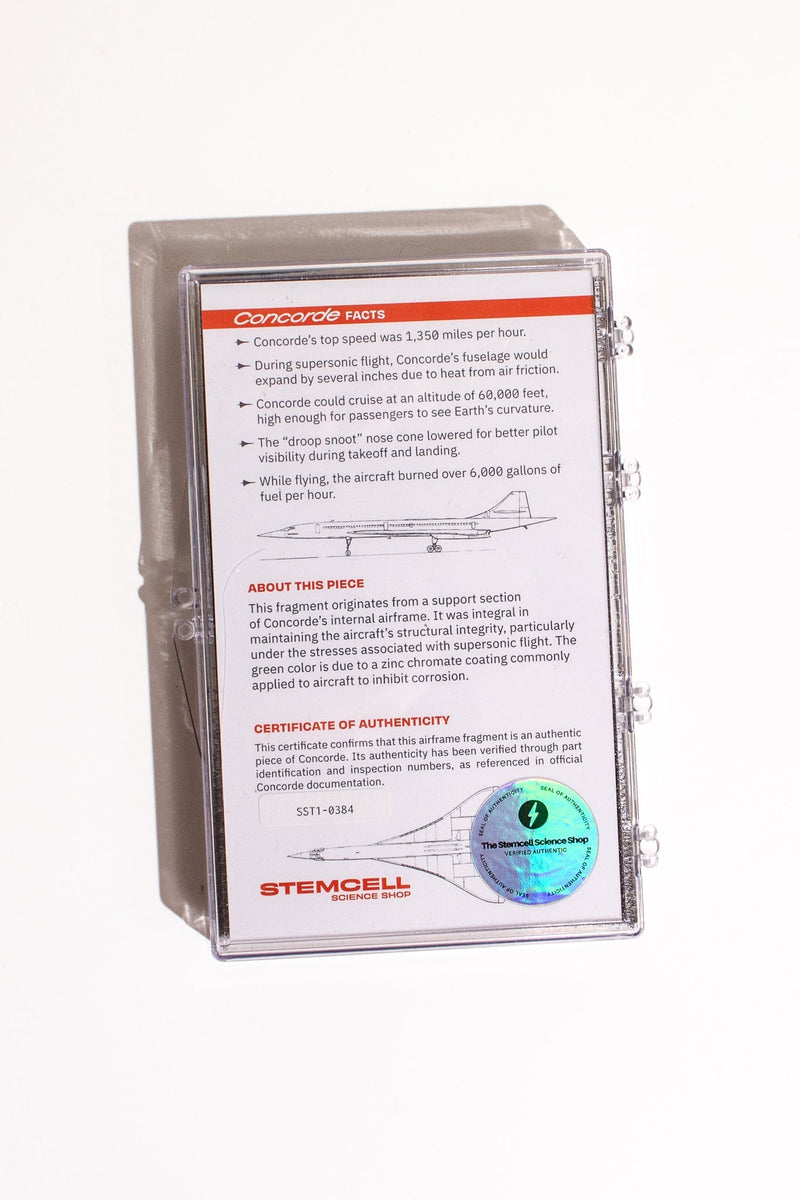 Concorde Airframe Fragment – Treasures By The Box