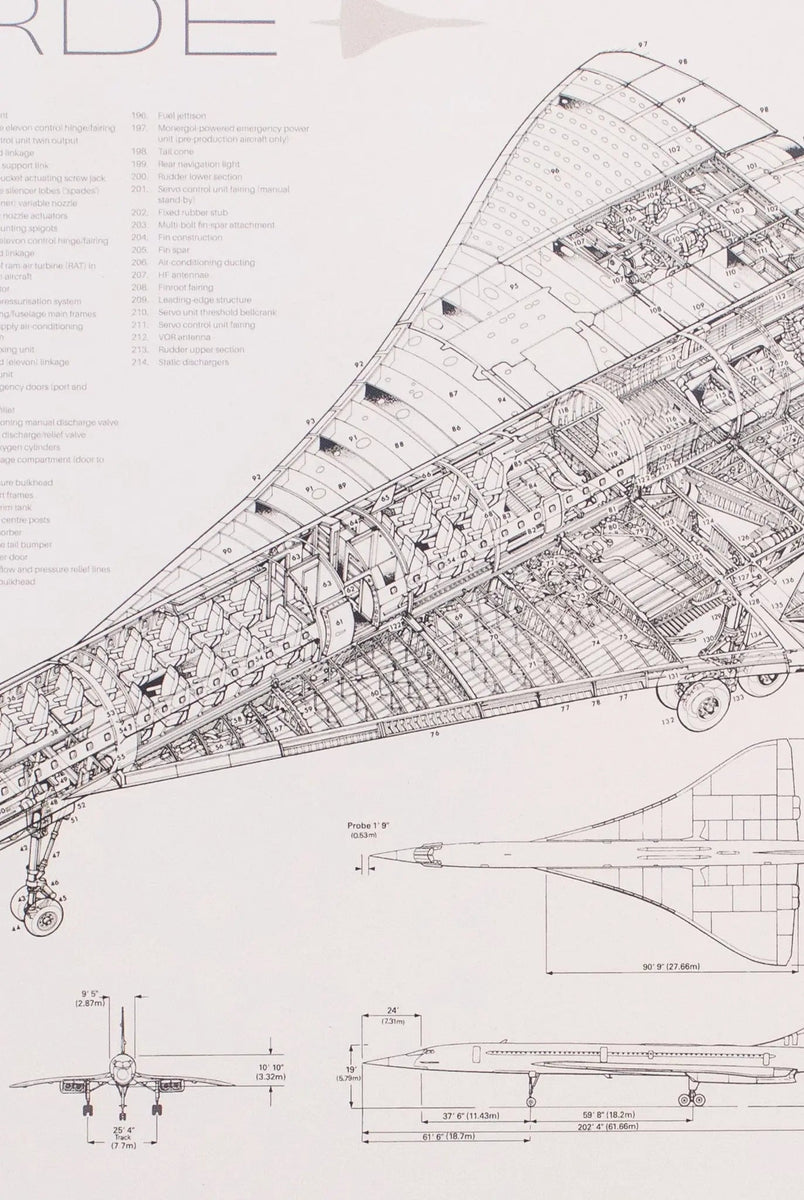 Concorde Supersonic Airliner Schematic Chart – Treasures By The Box