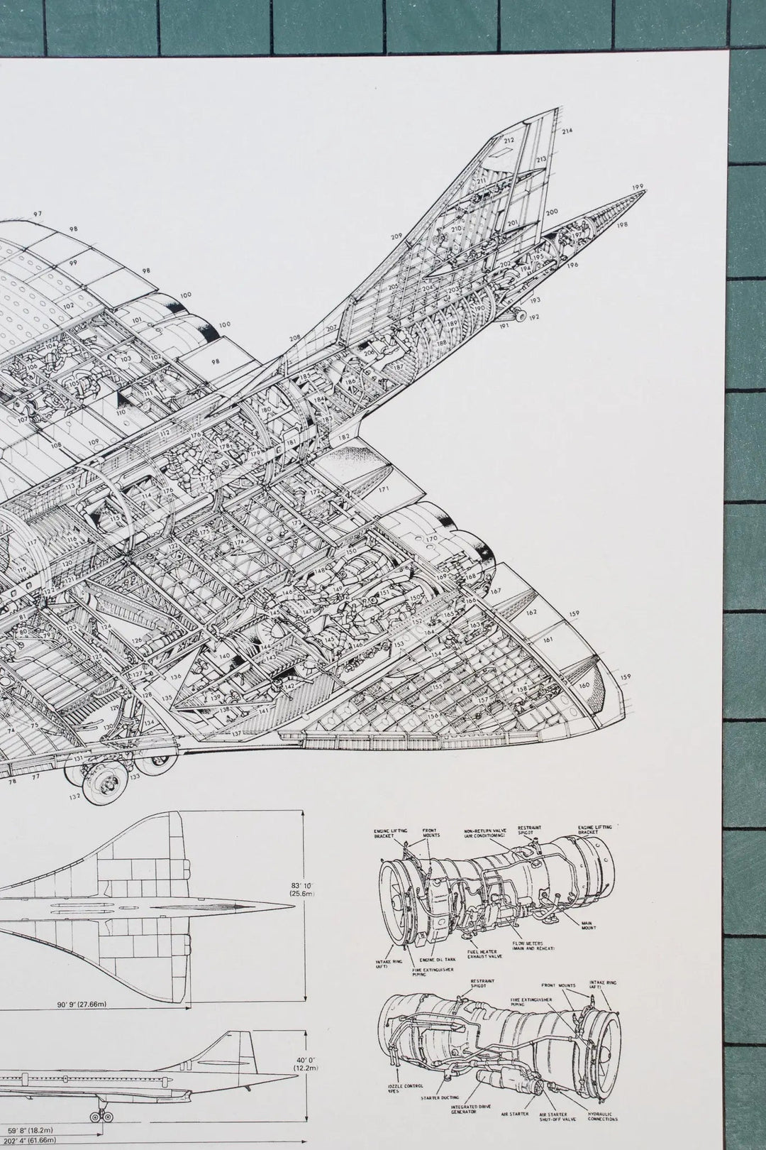 Concorde Supersonic Airliner Schematic Chart – Treasures By The Box